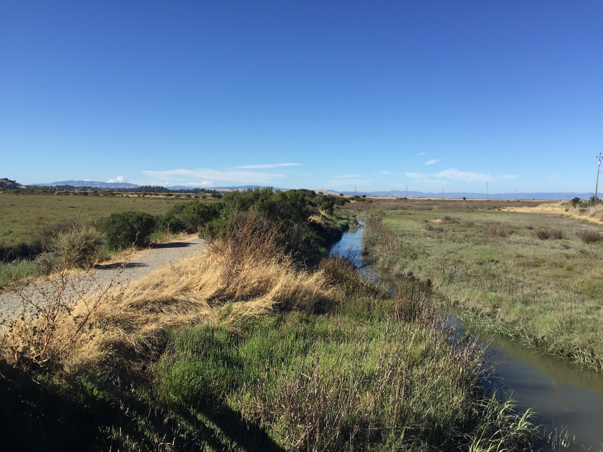 Santa Venetia Marsh Loop – Map & Boots