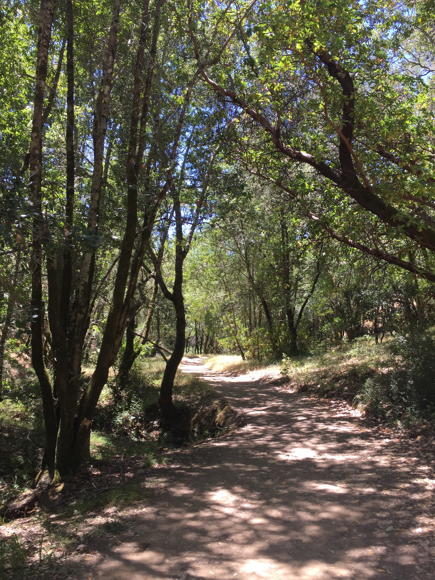 Ken Harth Waterfall Trail to Jack Burgi Trail Loop – Map & Boots