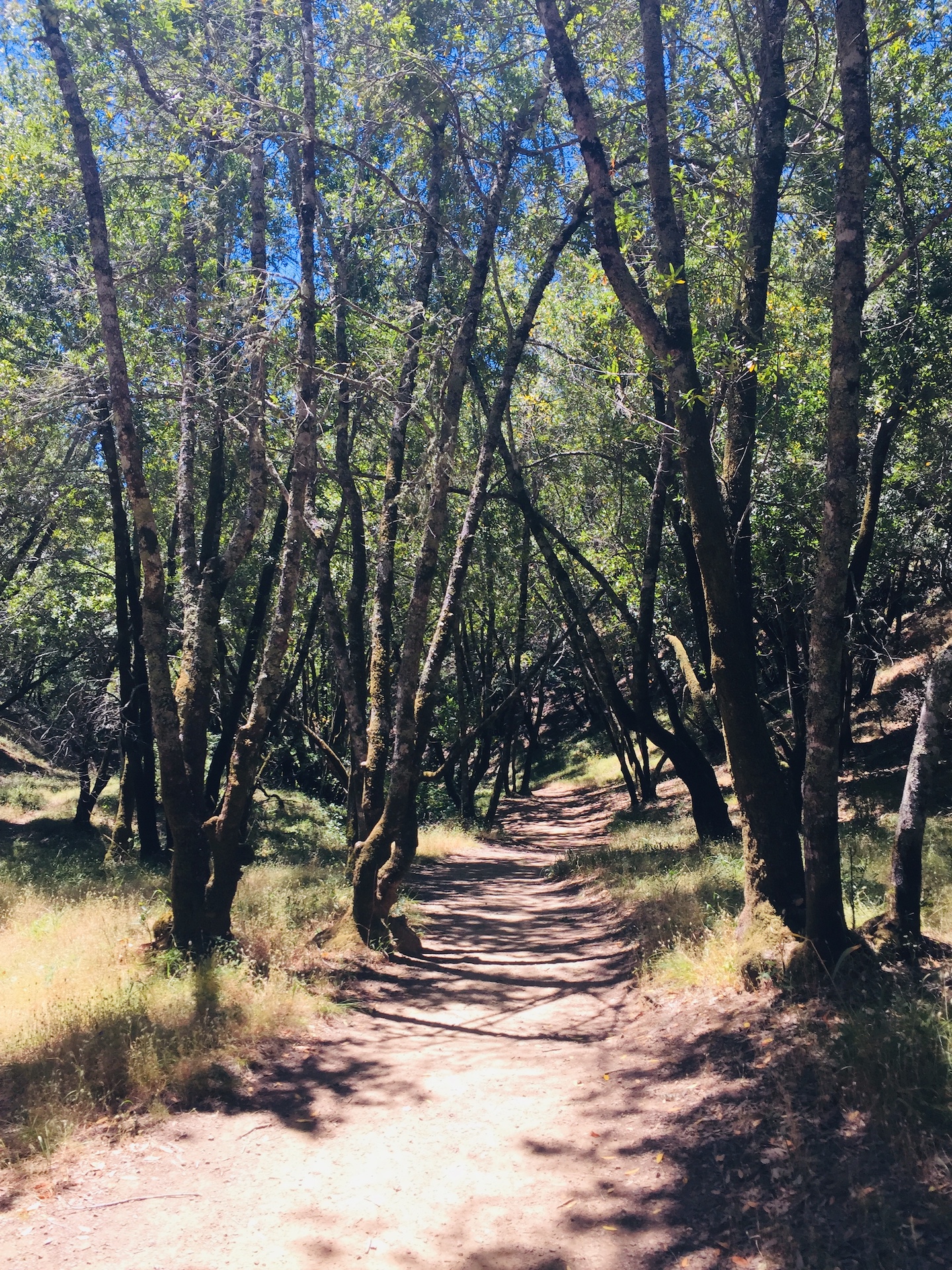 Ken Harth Waterfall Trail to Jack Burgi Trail Loop – Map & Boots